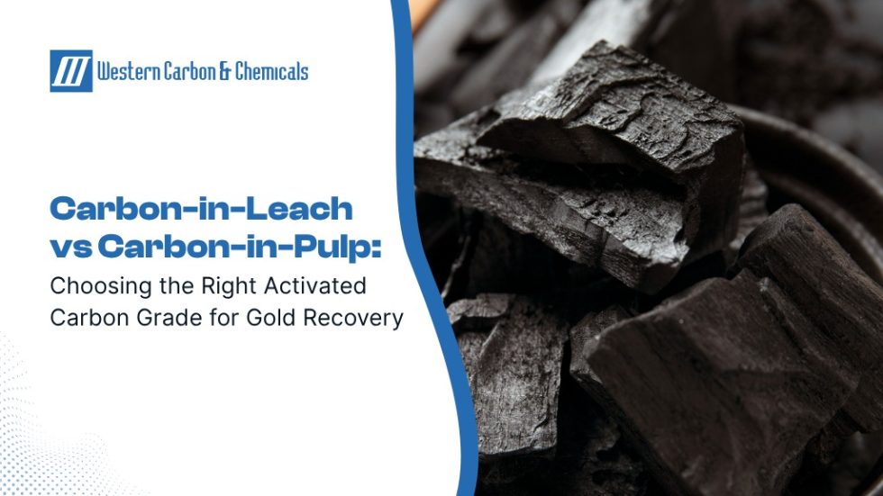 Carbon-in-Leach Vs Carbon-in-Pulp: Choosing The Right Activated Carbon ...
